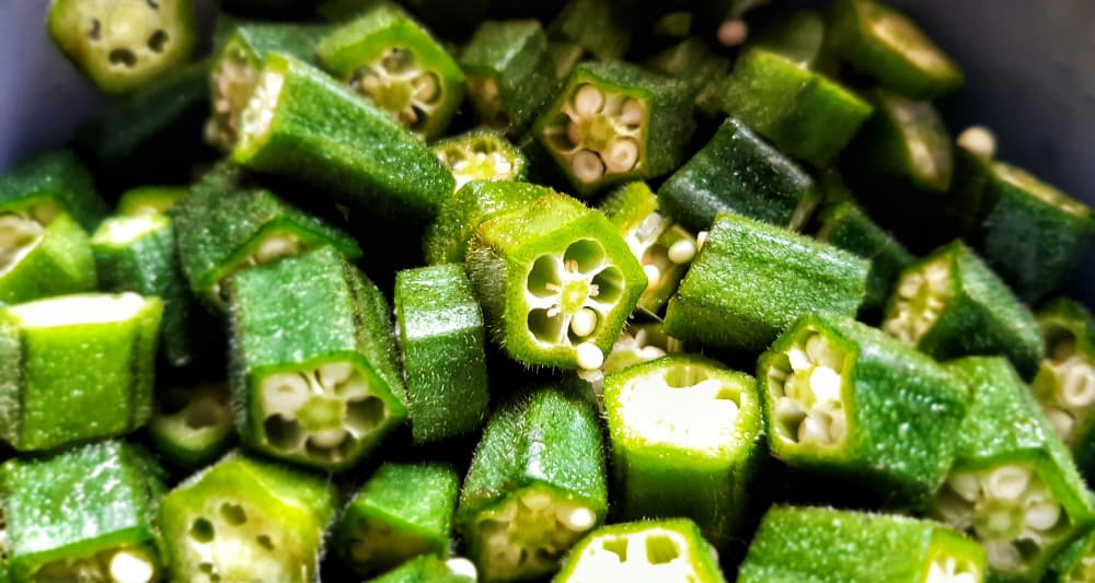 Otolin: para que serve, como usar (e efeitos colaterais) - VetSaúde